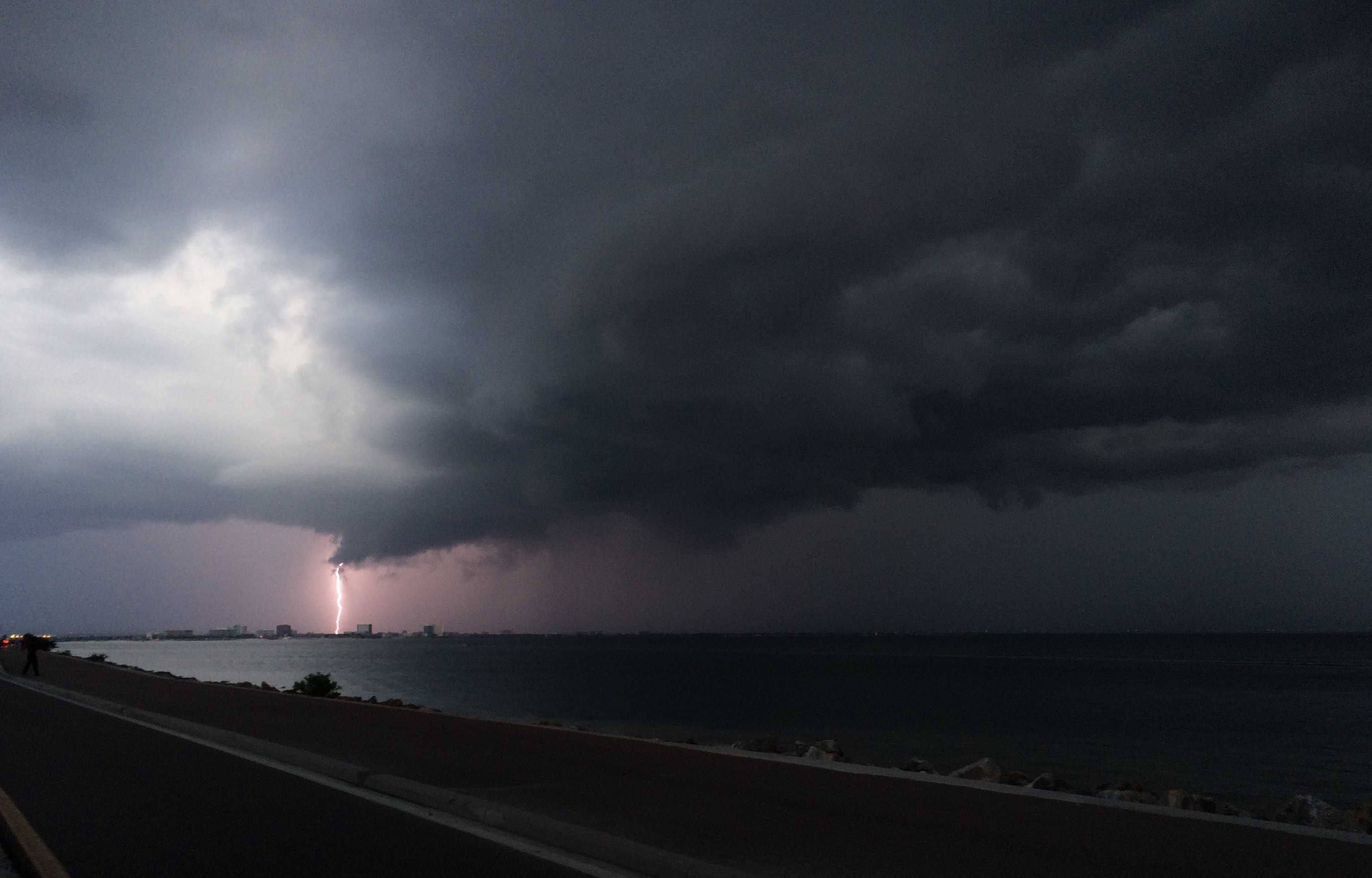 Typical Florida weather – Dina's Wildlife Adventures