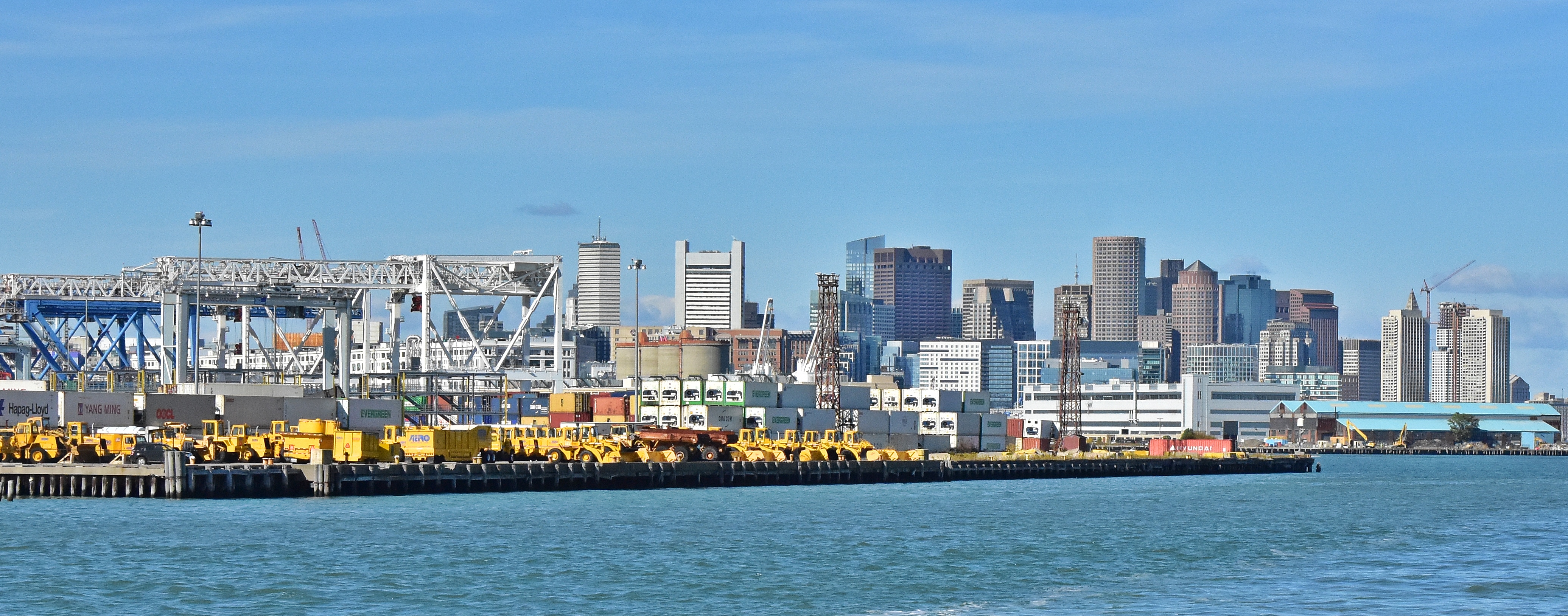 Boston Harbor – Dina's Wildlife Adventures